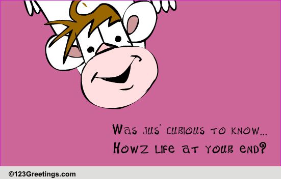 A Cute Hello! Free Hi eCards, Greeting Cards | 123 Greetings