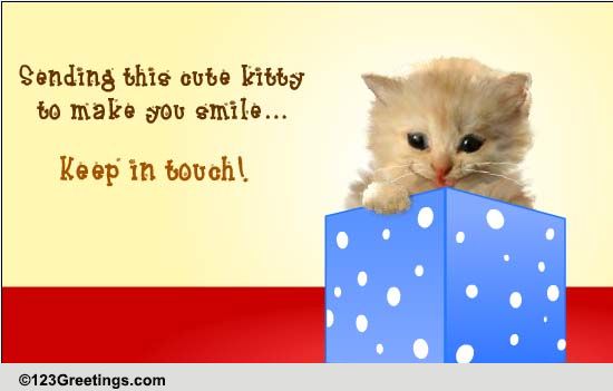 Hi, Keep In Touch! Free Hi eCards, Greeting Cards | 123 Greetings