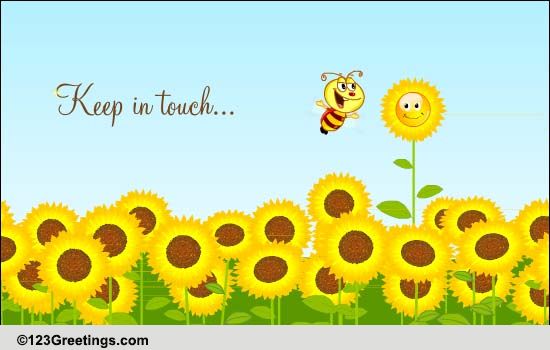 Stay Connected... Free Keep in Touch eCards, Greeting Cards | 123 Greetings