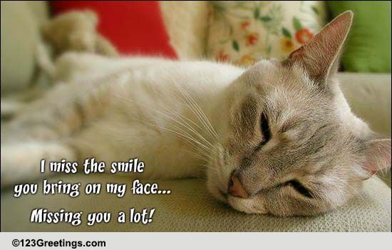 I Miss My Smile! Free Miss You eCards, Greeting Cards | 123 Greetings