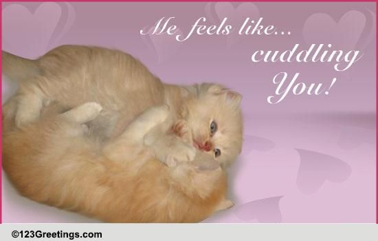 Feels Like Cuddling... Free Hugs eCards, Greeting Cards | 123 Greetings