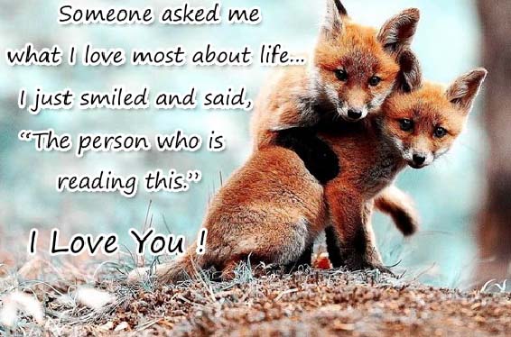 This Is Specially For You My Dear. Free I Love You eCards | 123 Greetings