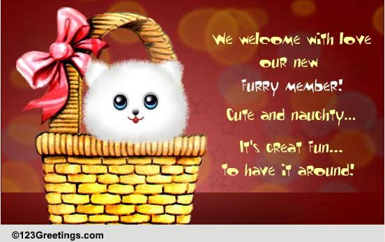 We Welcome Our Furry Member... Free Announcement eCards, Greeting Cards ...