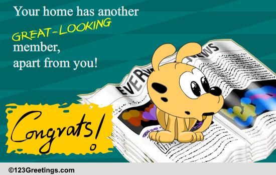 Congrats On Your New Friend! Free Congratulations eCards, Greeting ...
