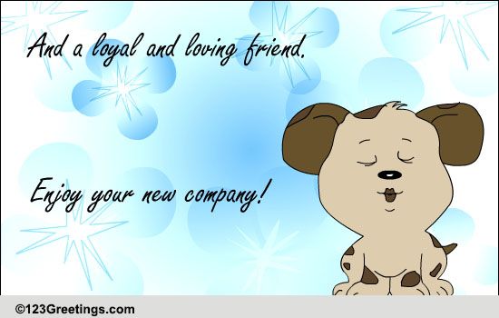 A New Pet! Free Congratulations eCards, Greeting Cards | 123 Greetings