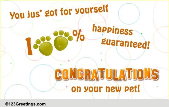 Pet Congrats! Free Congratulations eCards, Greeting Cards | 123 Greetings