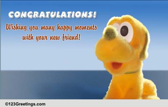 Happy Moments On Having A New Pet... Free Congratulations eCards | 123 ...