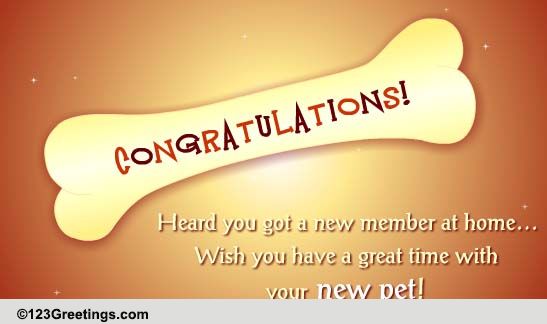 New Dog! Free Congratulations eCards, Greeting Cards | 123 Greetings