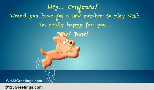 New Member To Play With... Free Congratulations eCards, Greeting Cards ...