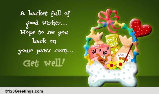 Pets Get Well Cards, Free Pets Get Well Wishes, Greeting Cards | 123 ...