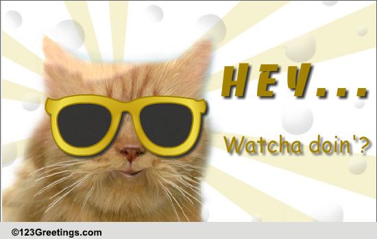 A Cool Hello Card! Free Hi-hello eCards, Greeting Cards | 123 Greetings