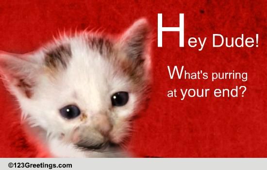 Wassup! Free Hi-hello eCards, Greeting Cards | 123 Greetings