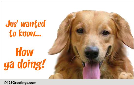 Hi! Free Hi-hello eCards, Greeting Cards | 123 Greetings