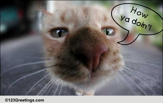 Hey It's Me! Free Hi-hello eCards, Greeting Cards | 123 Greetings