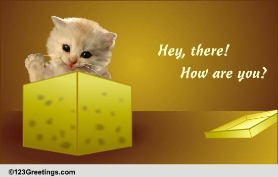 Hey, There! Free Hi-hello eCards, Greeting Cards | 123 Greetings