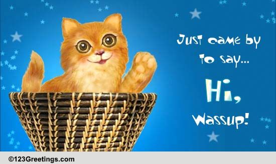 A Cute Hi! Free Hi-hello eCards, Greeting Cards | 123 Greetings