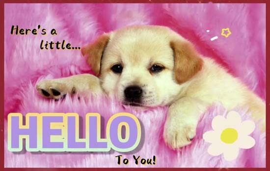 A Little Hello To You. Free Hi-hello eCards, Greeting Cards | 123 Greetings
