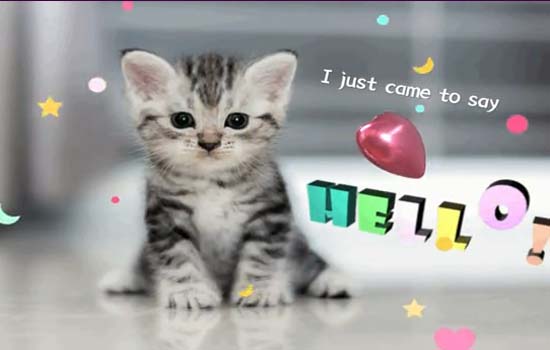 Just Came To Say Hello! Free Hi-hello eCards, Greeting Cards | 123 ...