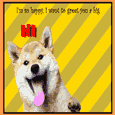 Pets Hi-hello Cards, Free Pets Hi-hello Wishes, Greeting Cards | 123 ...