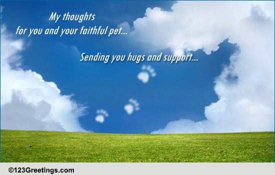 Hug And Support... Free Loss of Pet eCards, Greeting Cards | 123 Greetings